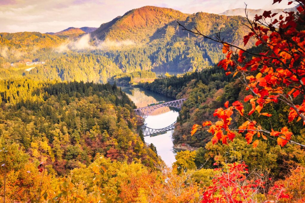 All aboard one of Japan's most scenic train lines - Okome Tours